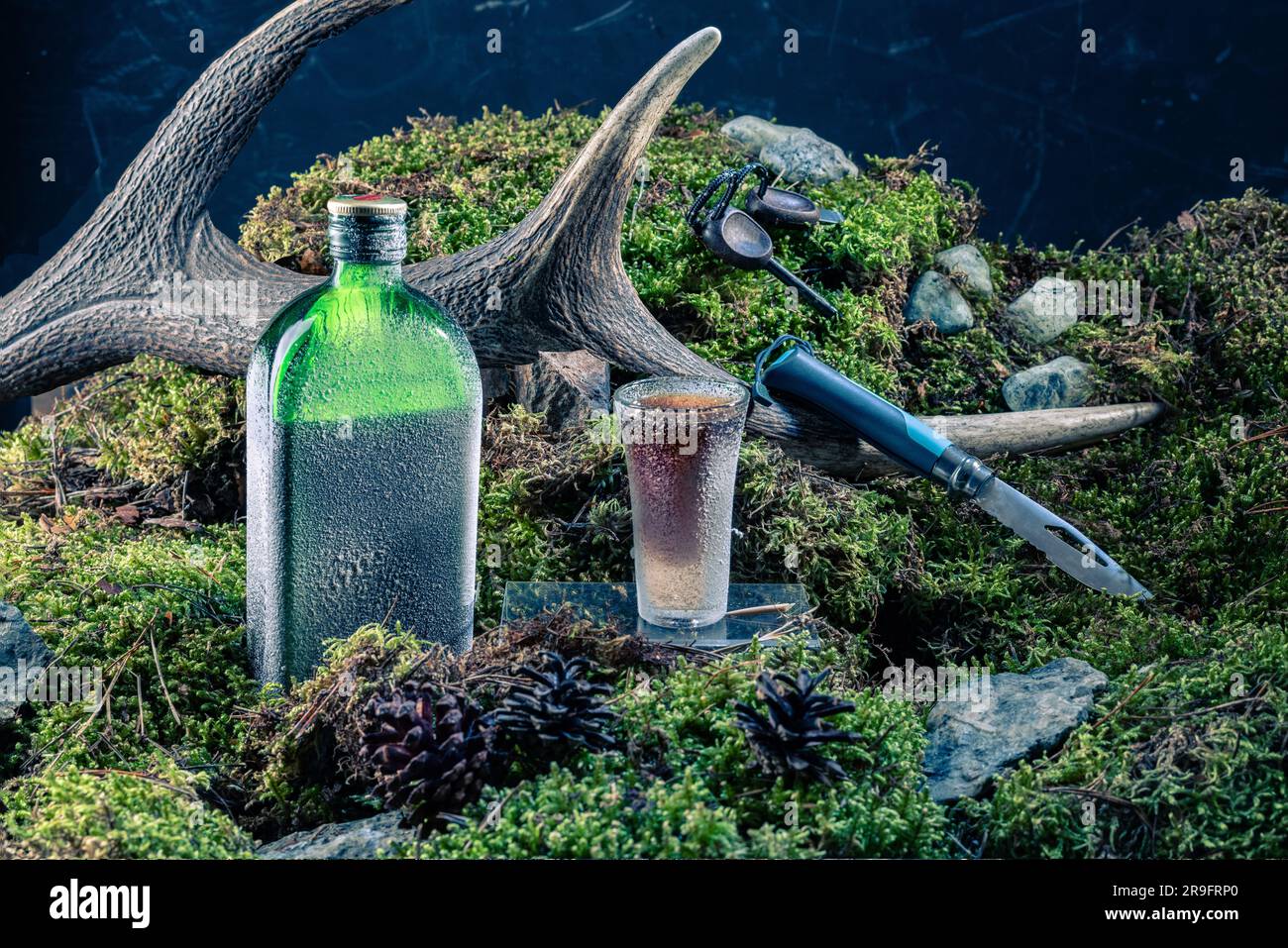A bottle and a glass of alcohol covered in frost. Composition with ...