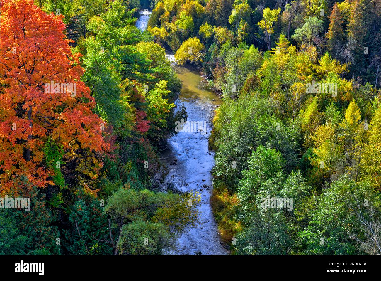 Canada forest aerial horizontal hi-res stock photography and images - Alamy