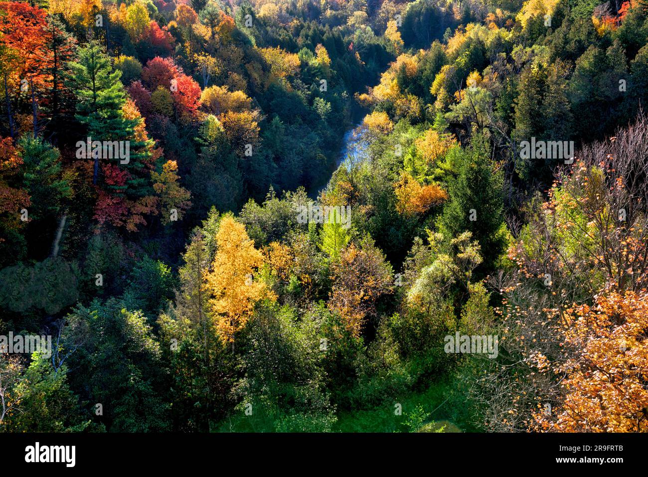Aerial view of colourful autumn forest and river valley Stock Photo - Alamy