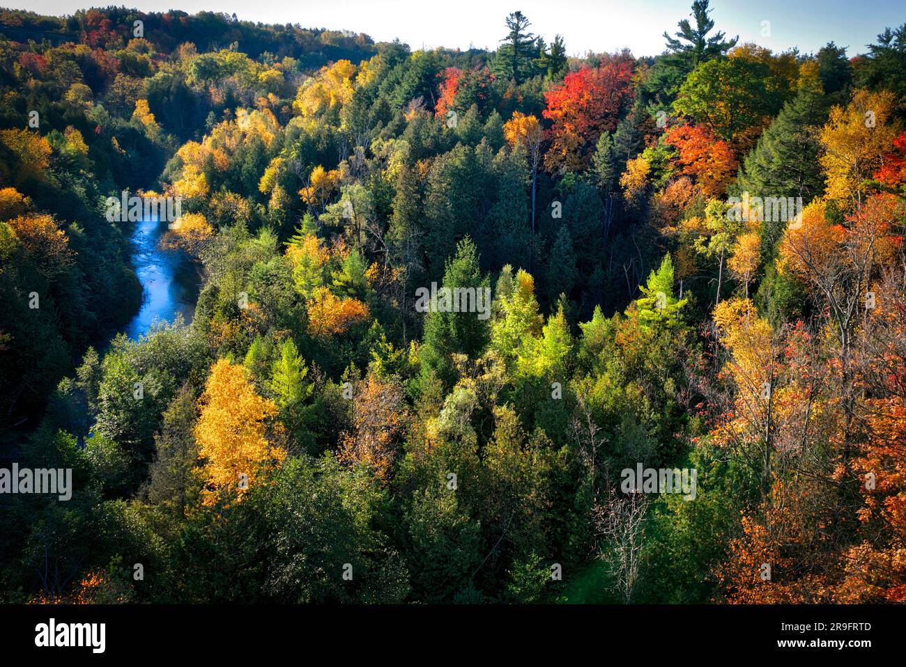 Aerial view high park in toronto hi-res stock photography and images ...