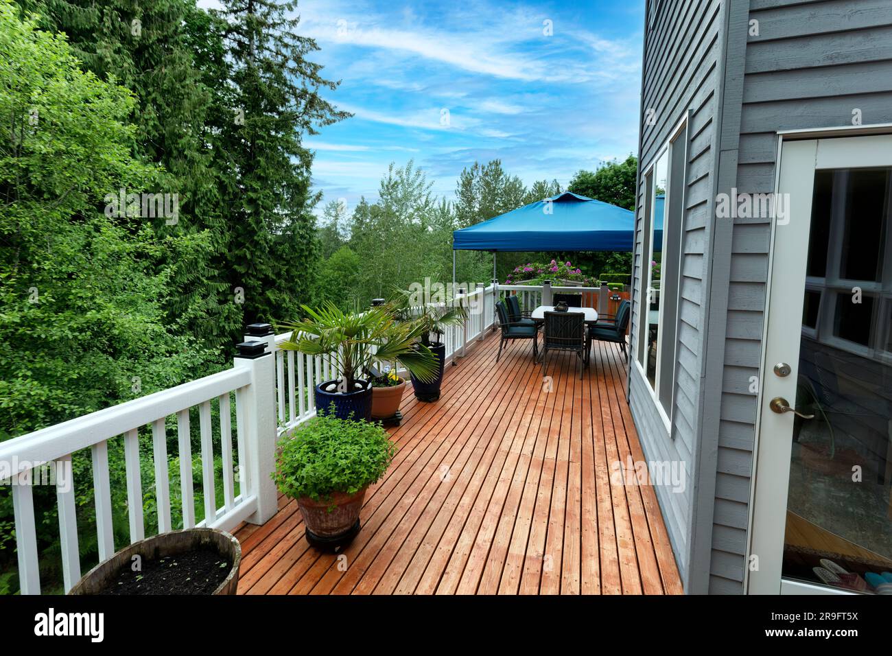 Walk out home wood deck during spring season with tree and potted ...