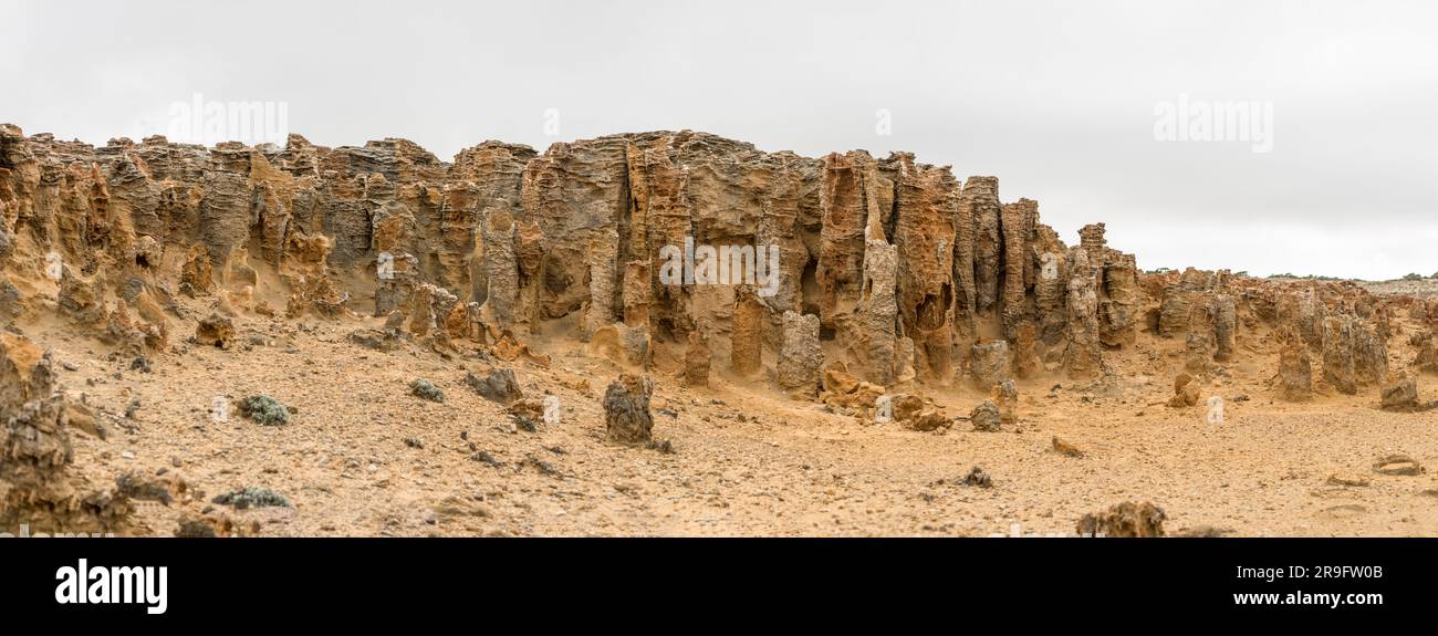 Petrified forest near to Portland Australia Stock Photo - Alamy