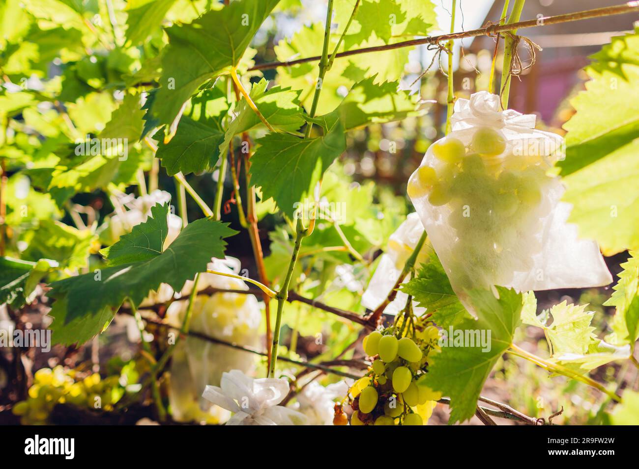 Food pouches packaging close hi-res stock photography and images - Alamy