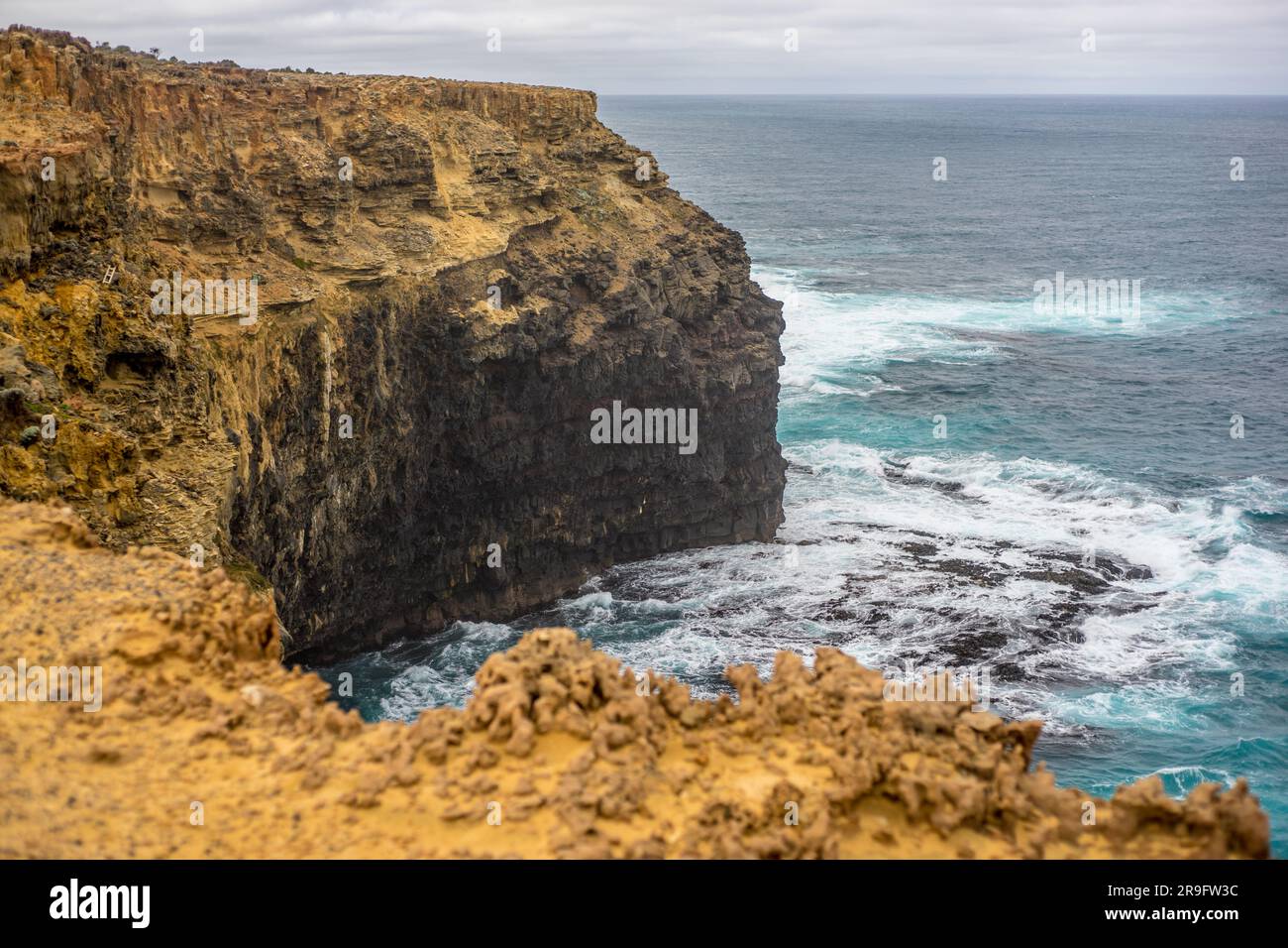Petrified forest near to Portland Australia Stock Photo - Alamy