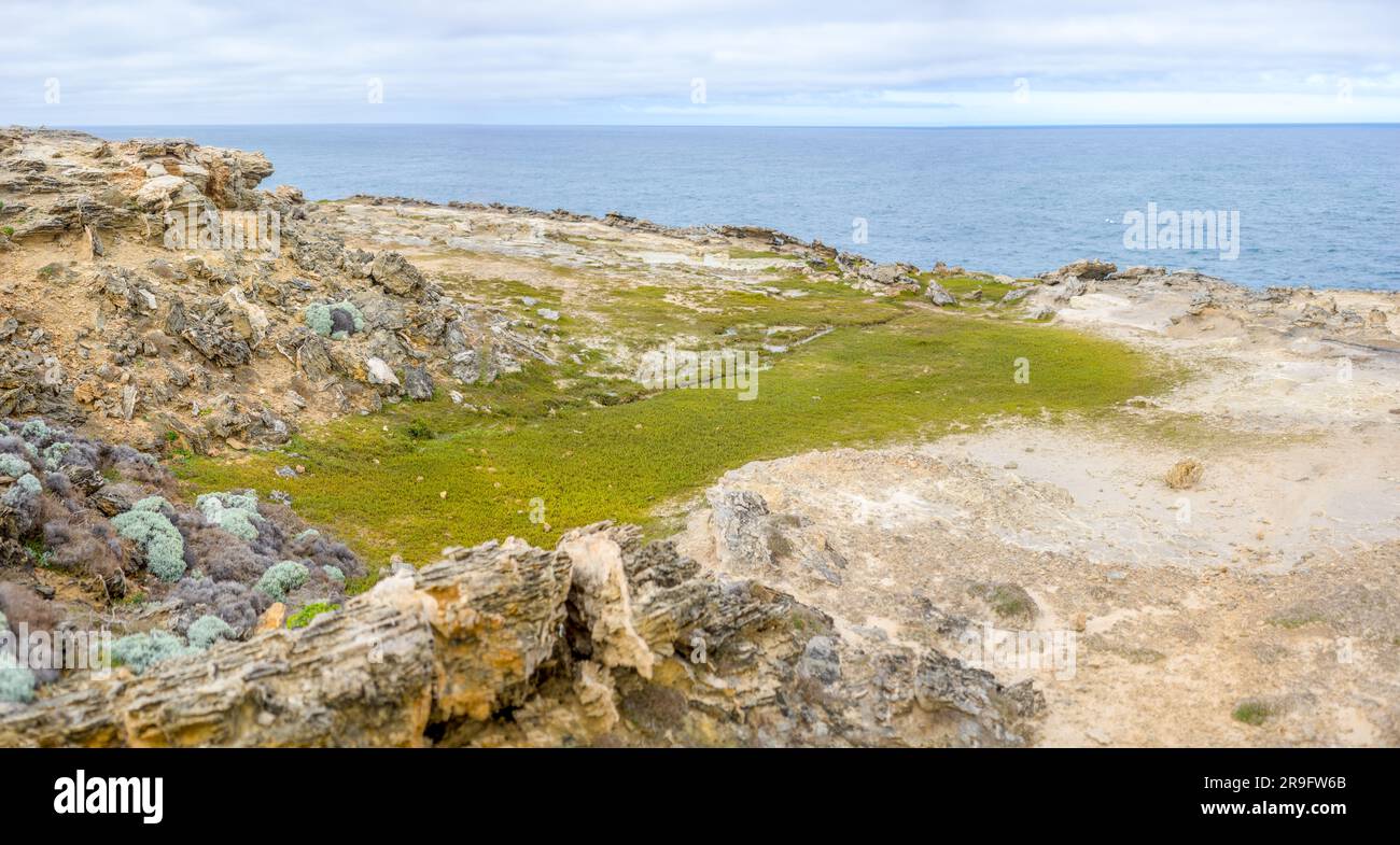 Petrified forest near to Portland Australia Stock Photo - Alamy