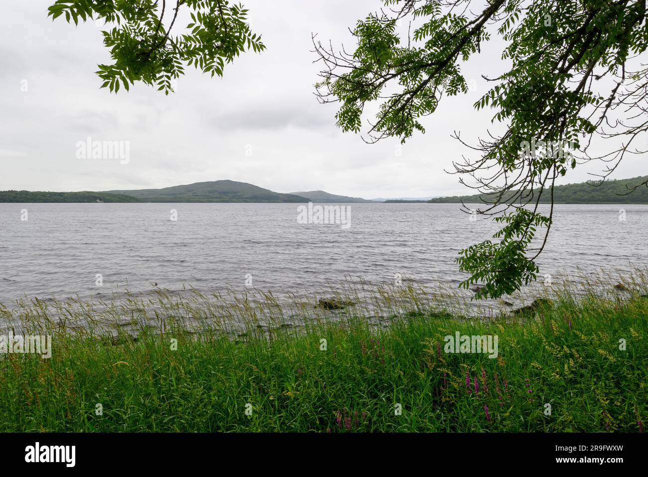 Lough Gill, Ireland, spanning the two counties of Mayo and Leitrim ...