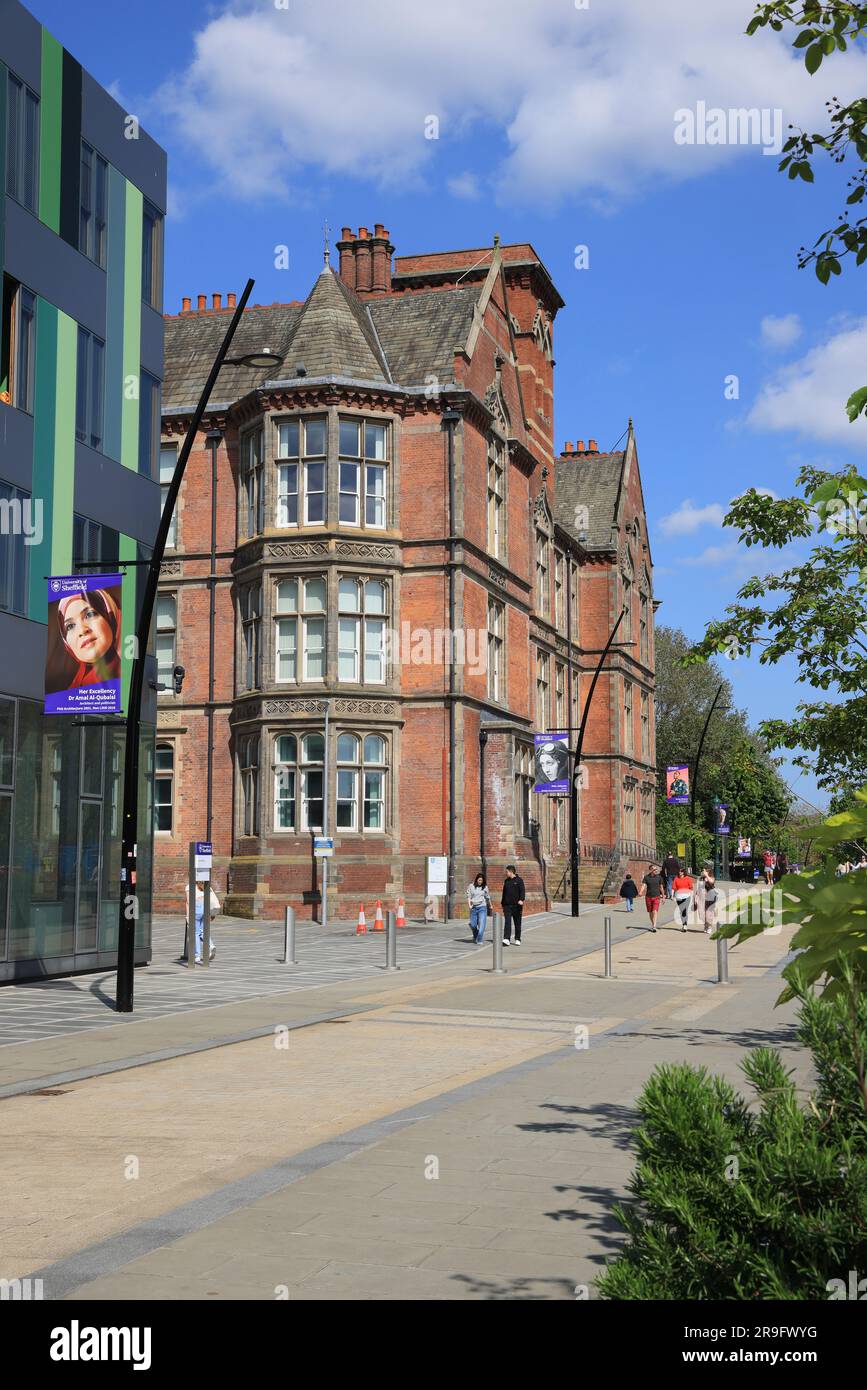 Management Building University Of Sheffield at Theresa Chapa blog