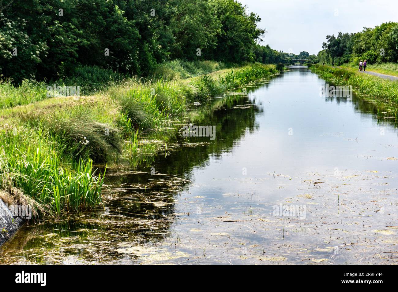 The Royal Canal near Cloondara, County Longford, Ireland Stock Photo ...