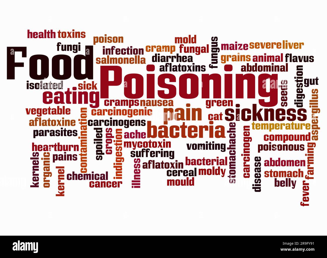 Word Cloud with FOOD POISONING concept create with text only Stock ...