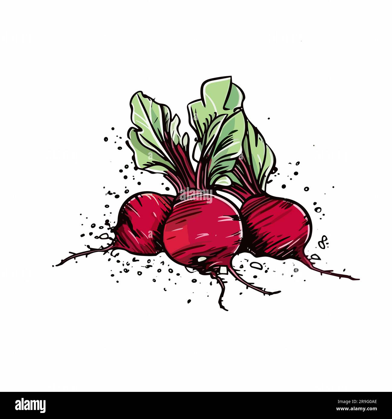 Cartoon Beetroot