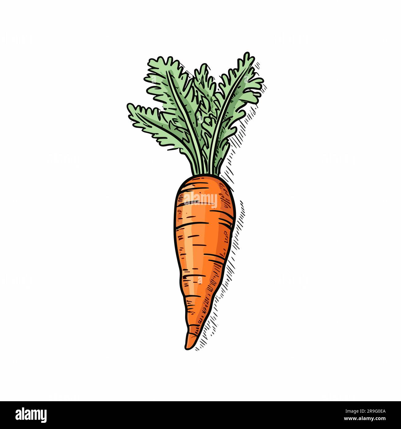 Carrot. Carrot hand-drawn illustration. Vector doodle style cartoon ...