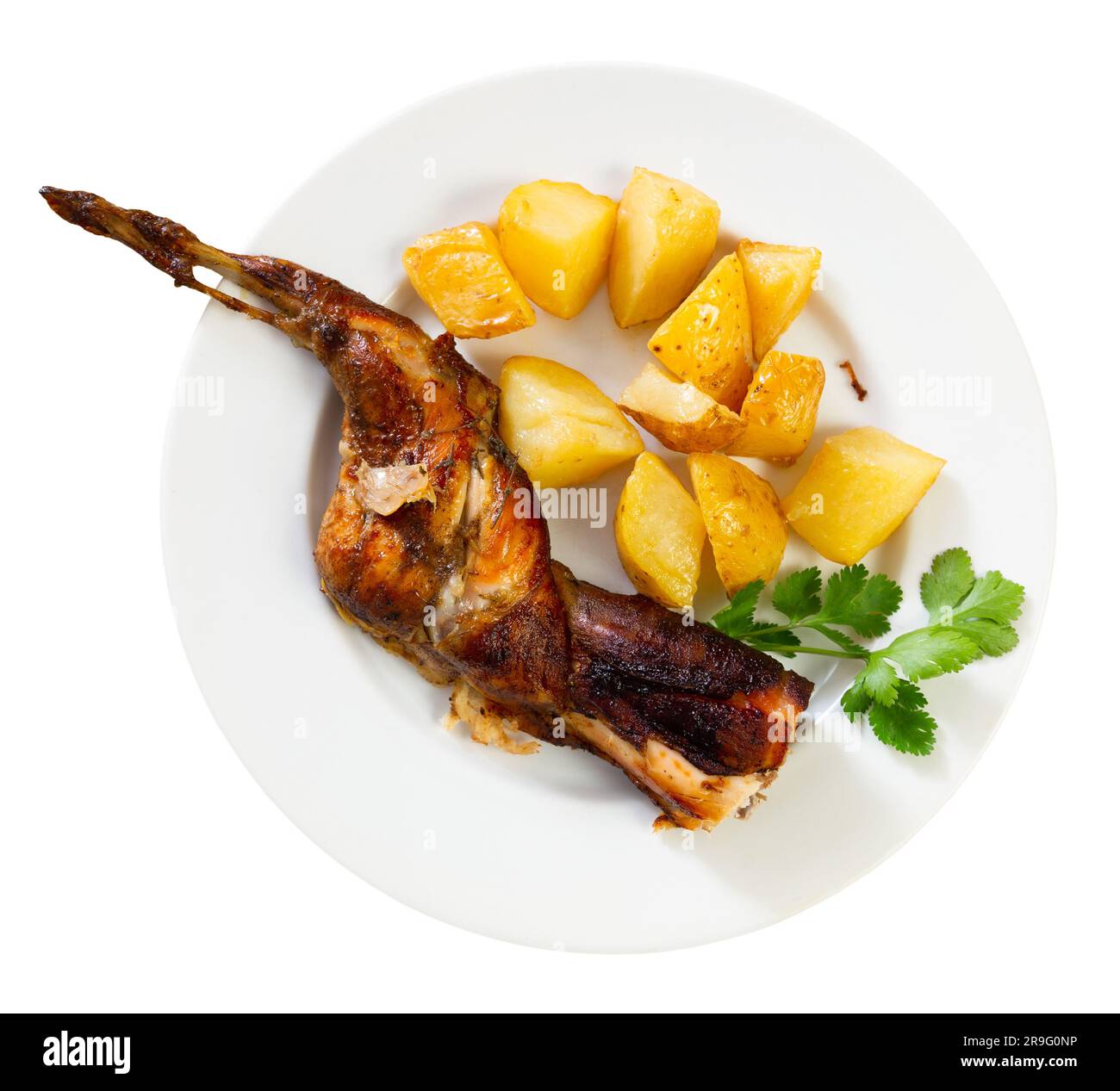 Grilled rabbit served in the plate Stock Photo - Alamy