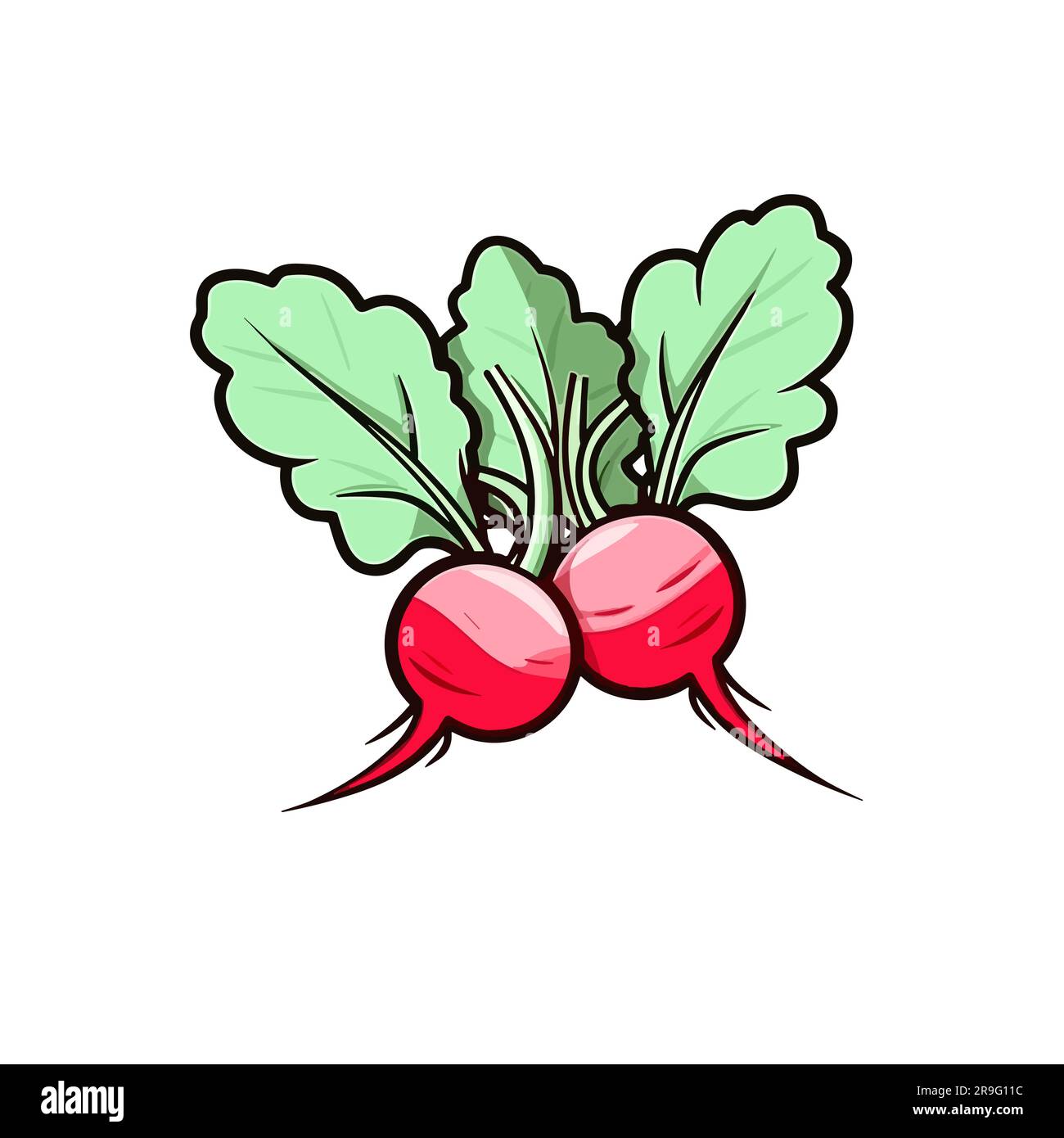 Radish. Radish hand-drawn illustration. Vector doodle style cartoon ...