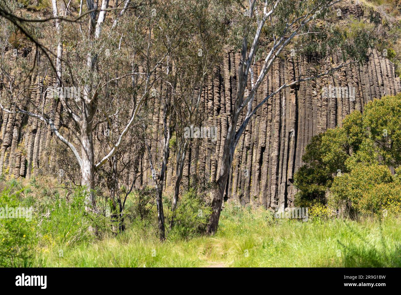 Organ pipes national park Australia Stock Photo - Alamy