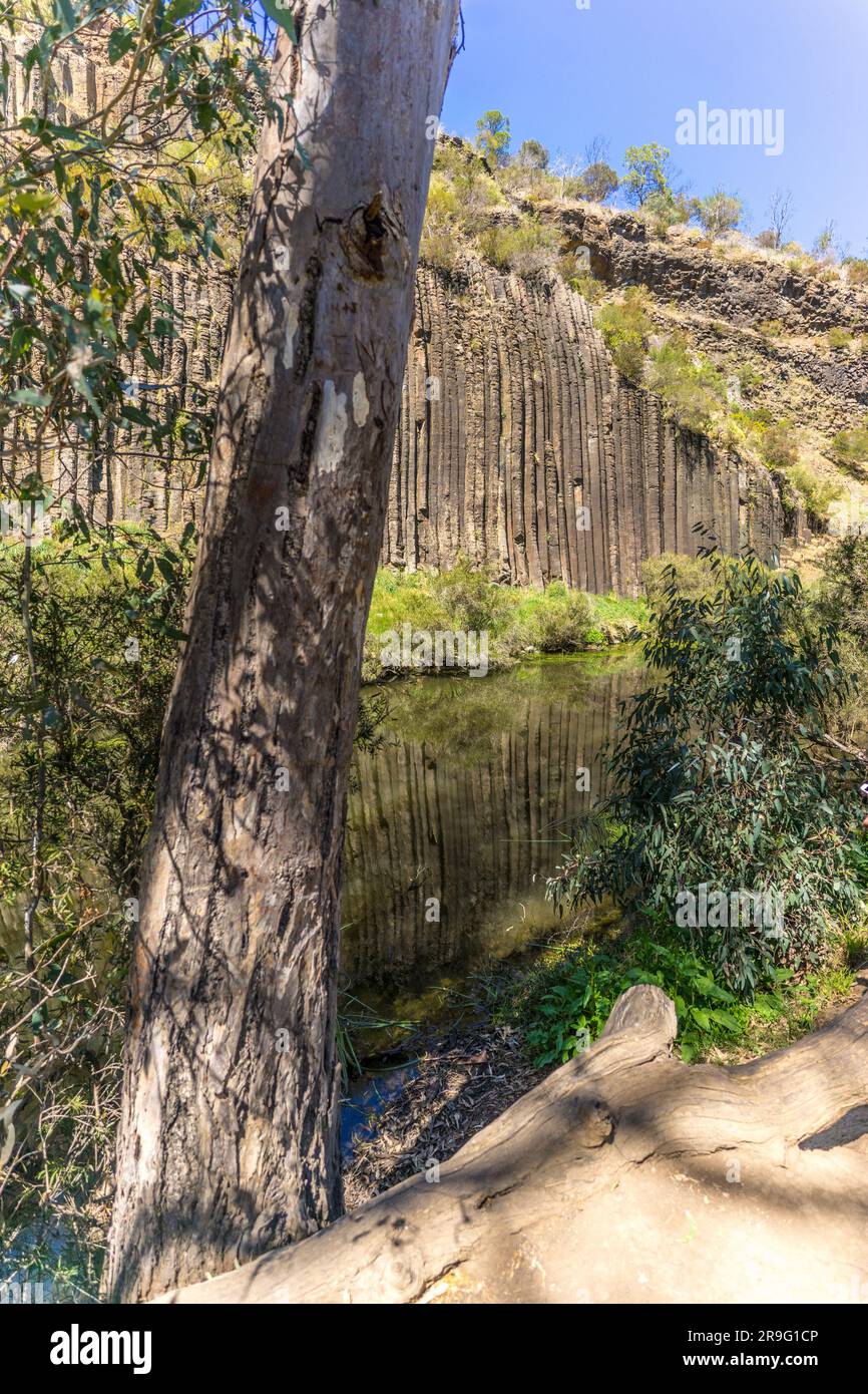 Organ pipes national park Australia Stock Photo - Alamy
