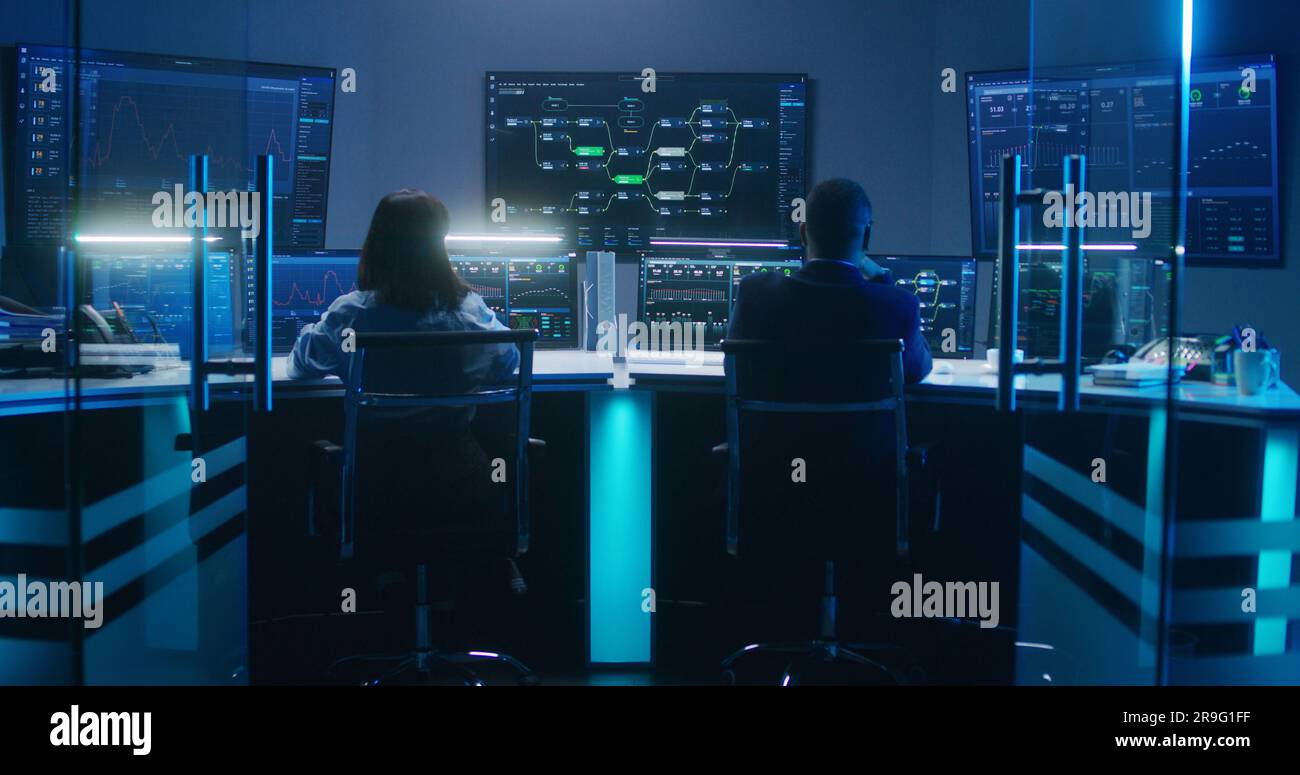 Back view of diverse IT technical specialists working on computers with database server in ...