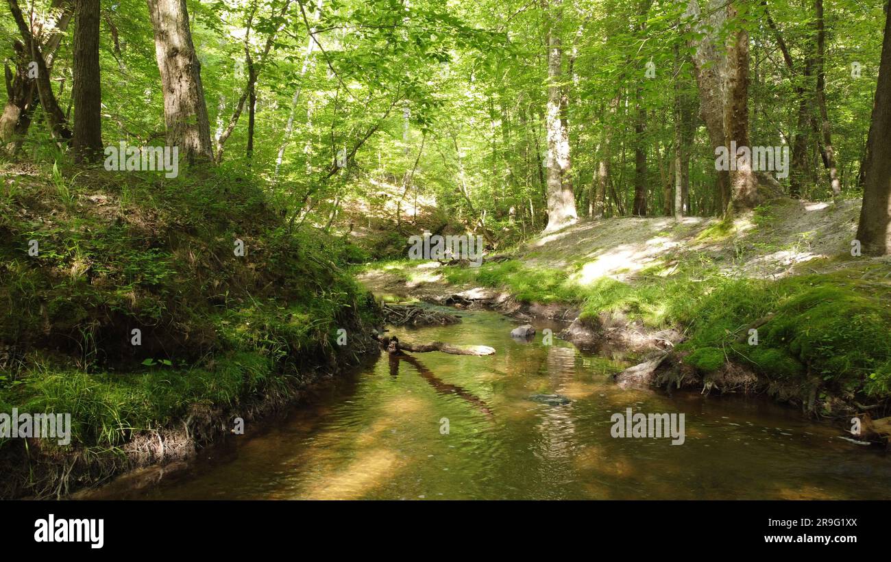 0233 jpg hi-res stock photography and images - Alamy