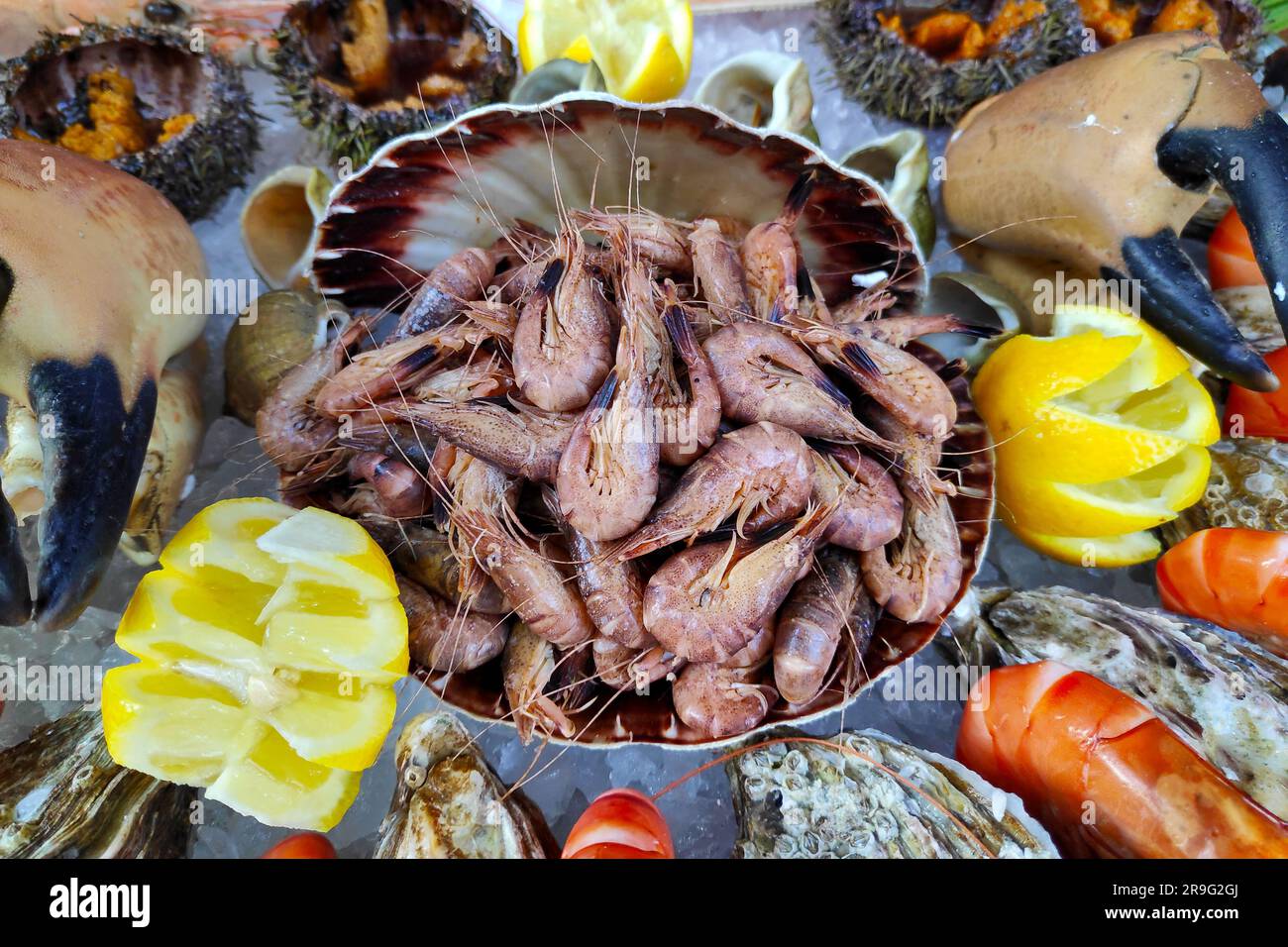 Crab shell and shrimp shell hi-res stock photography and images - Alamy