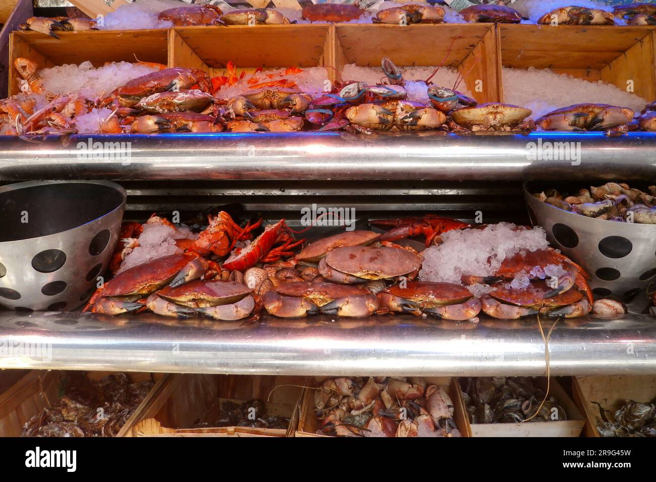 Crabs and crayfish hi-res stock photography and images - Alamy