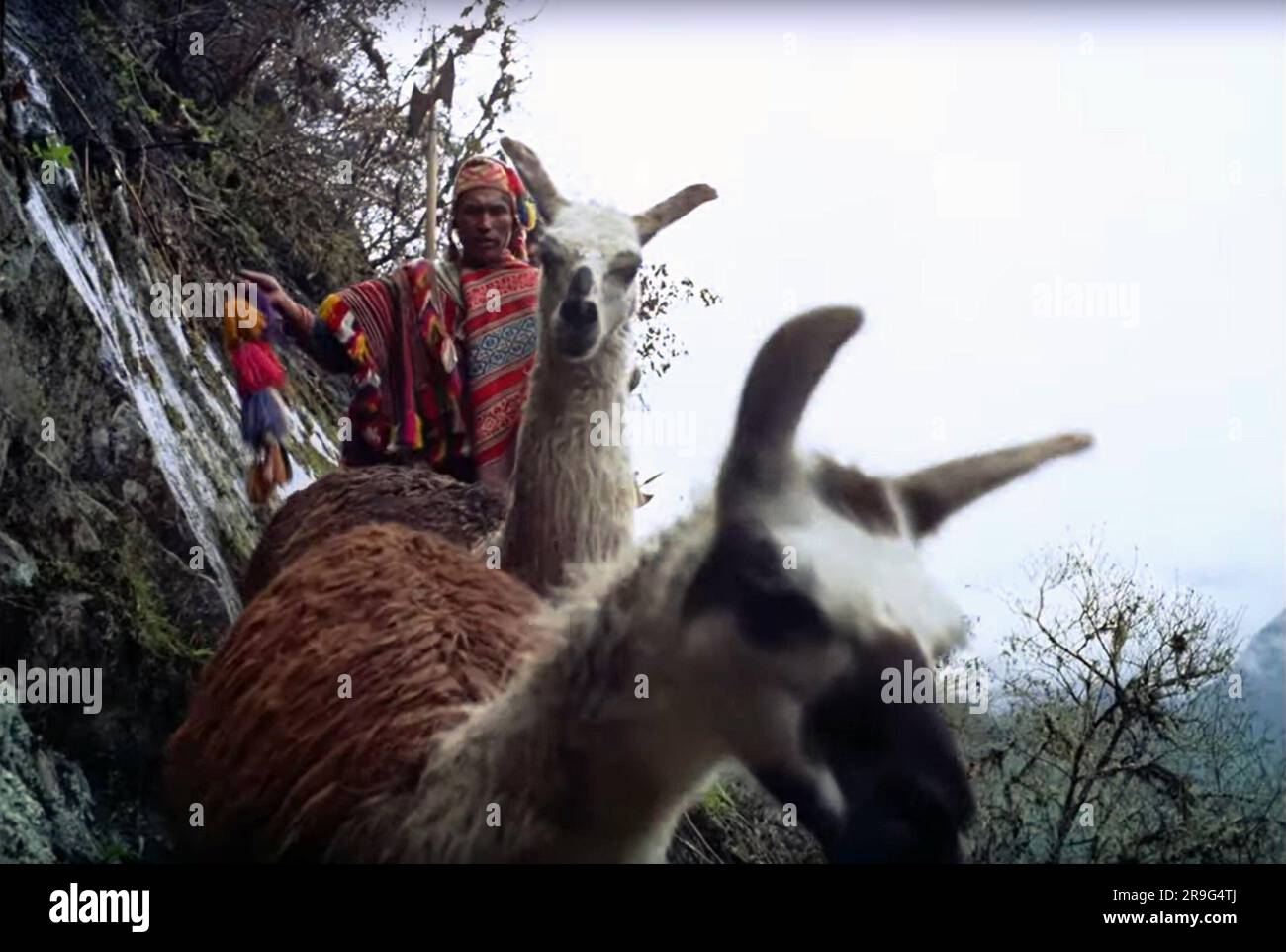 WERNER HERZOG RADICAL DREAMER, scene from AGUIRRE, THE WRATH OF GOD ...