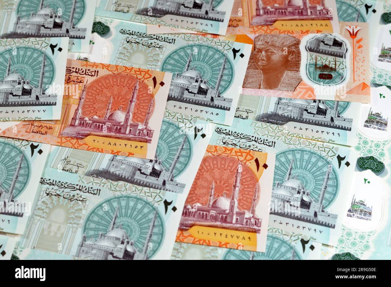 Egyptian new polymer money banknotes cash money bills background of ...