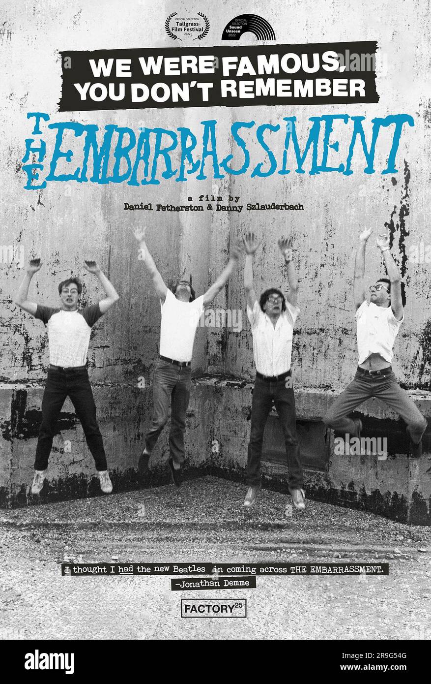 WE WERE FAMOUS, YOU DON'T REMEMBER: THE EMBARRASSMENT, poster, The ...