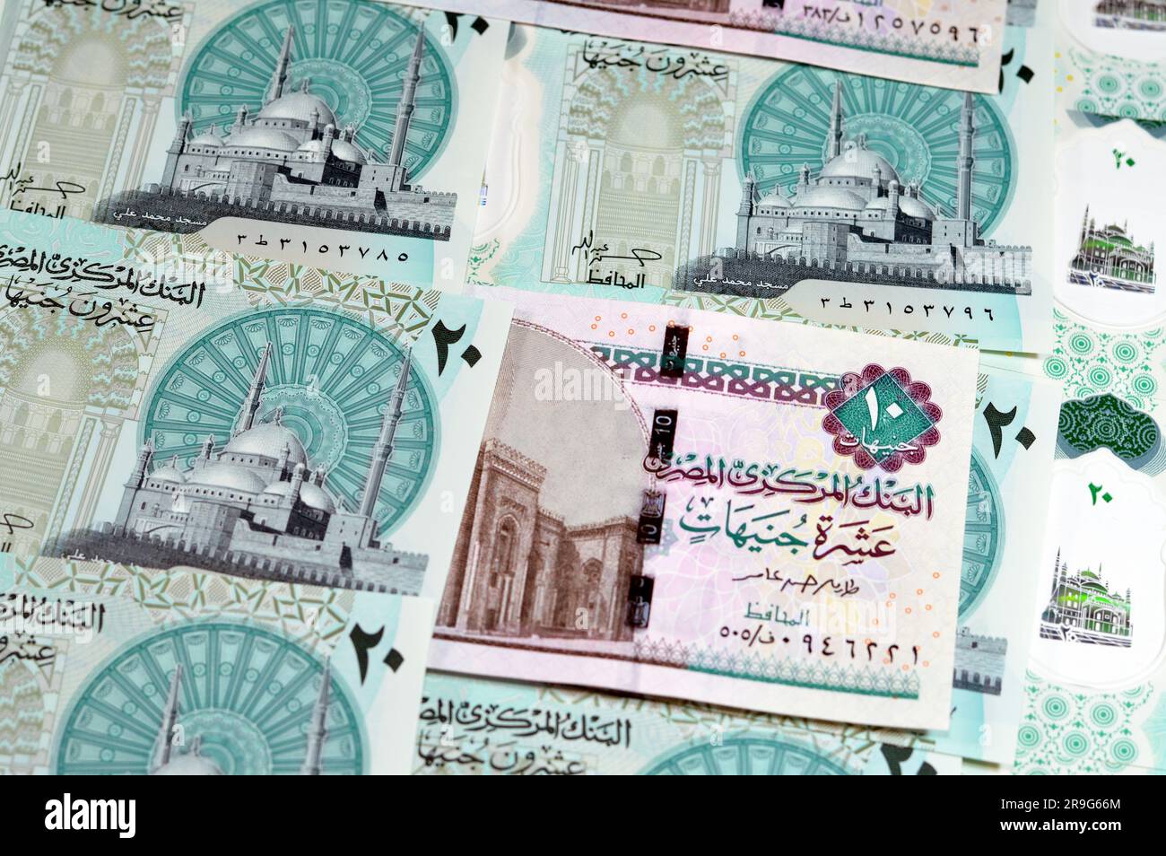 Egyptian new polymer money banknotes cash money bills background of ...