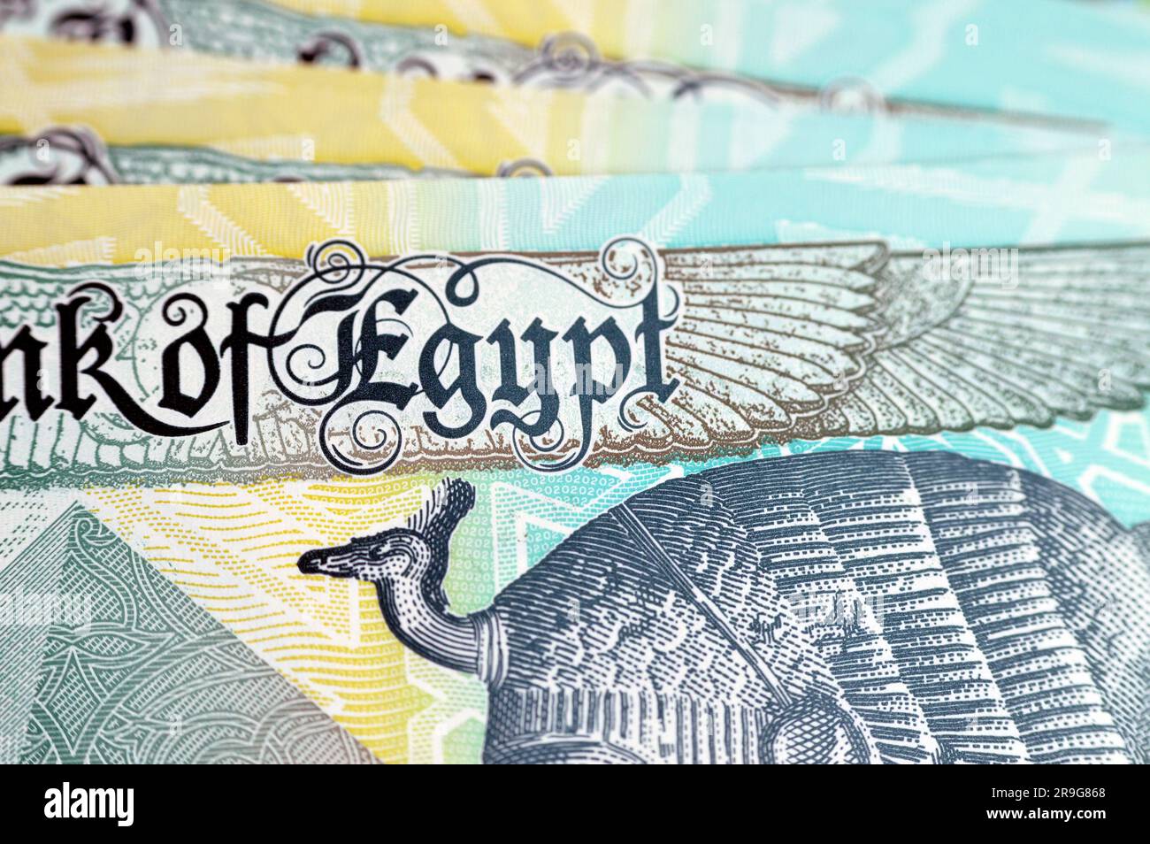 Closeup new Egyptian 20 EGP LE twenty polymer pounds cash money ...
