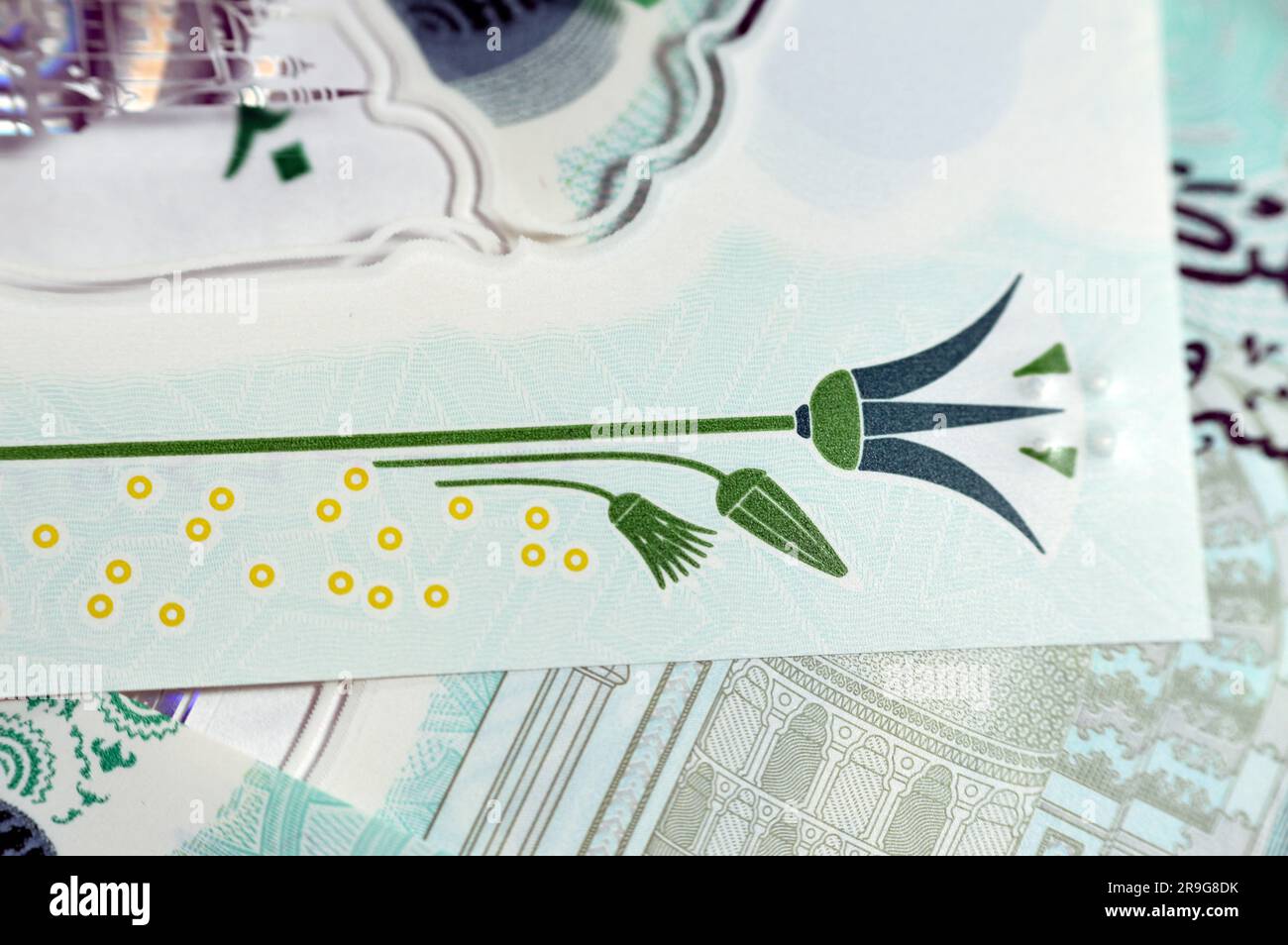 Closeup new Egyptian 20 EGP LE twenty polymer pounds cash money ...