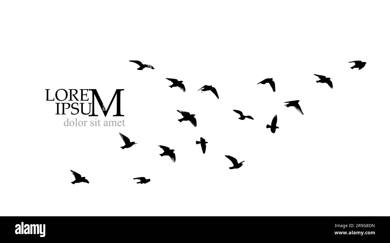 A flock of flying birds. Vector illustration Stock Vector Image & Art ...