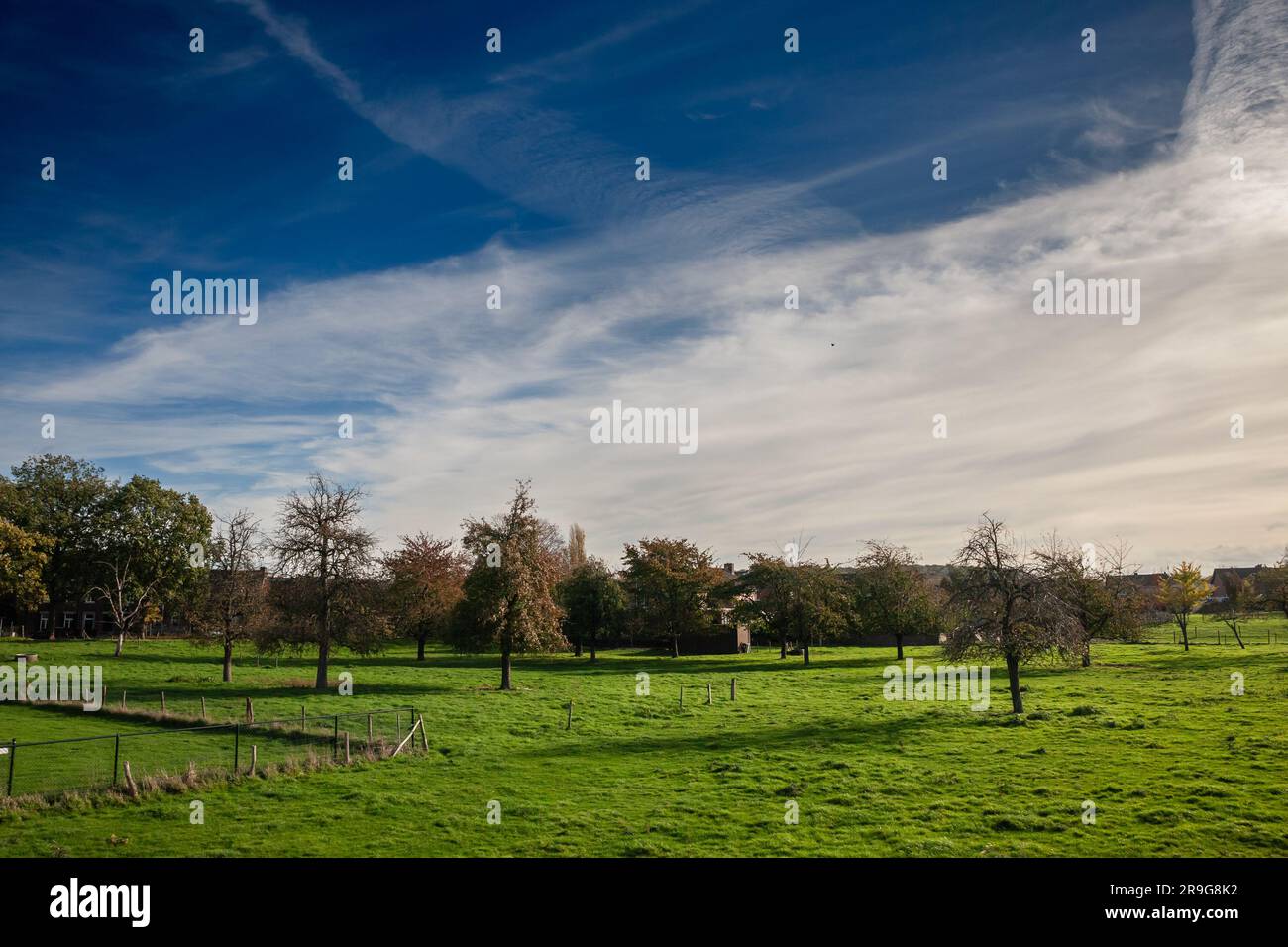 Picture of a limburg landscape in the countryside, with a typical ...