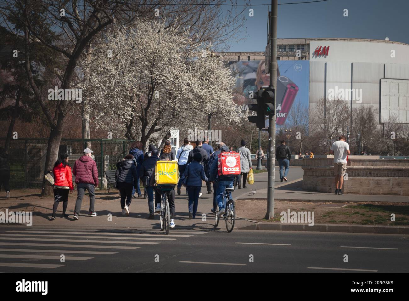 Tazz logo hi-res stock photography and images - Alamy