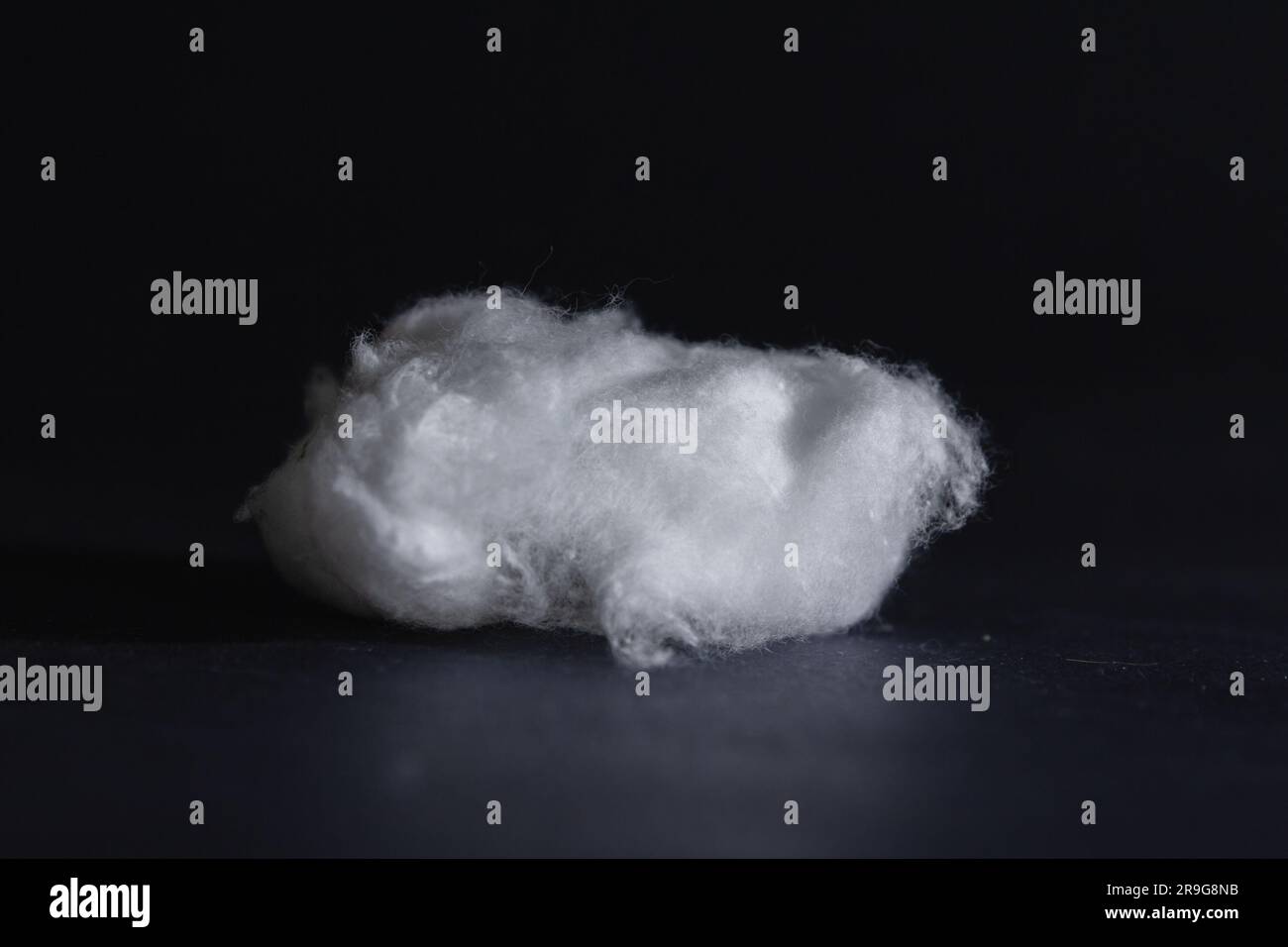 Picture of cotton wool isolated on black background. Cotton wool ...
