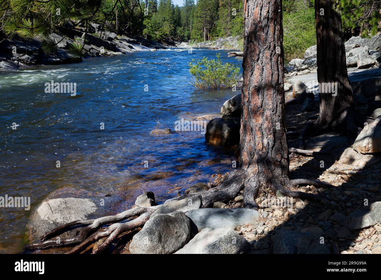 The North Fork of the Stanislaus River in Calaveras County, California ...
