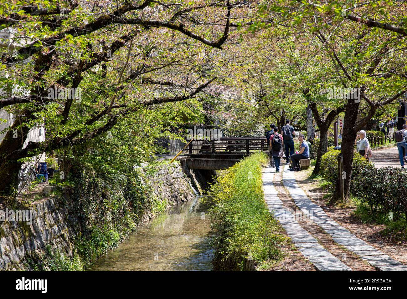The Philosophers Walk in Kyoto Japan on a spring day in 2023,Asia ...