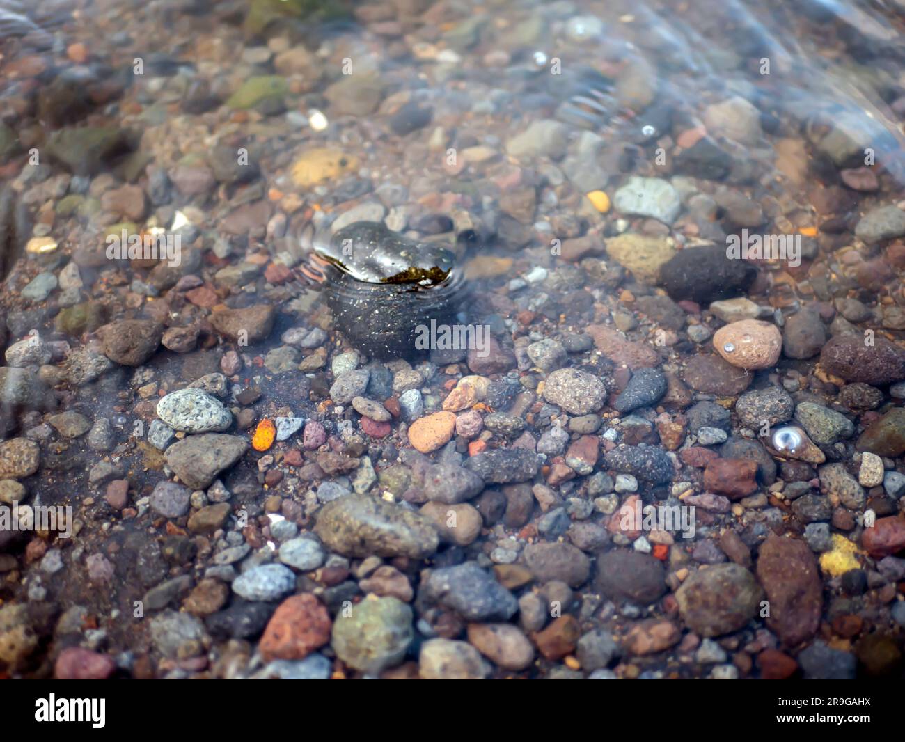 Gravels, pepples, sea stones under water on the south coast of the Java ...
