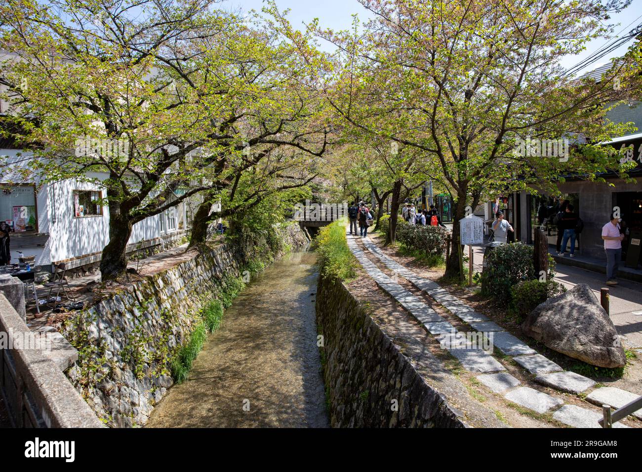 The Philosophers Walk in Kyoto Japan on a spring day in 2023,Asia ...