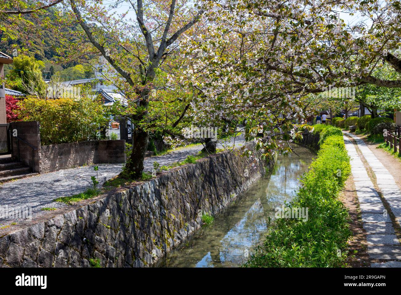 Kyoto Philosophers Walk, scenic walk along narrow paths past cherry ...