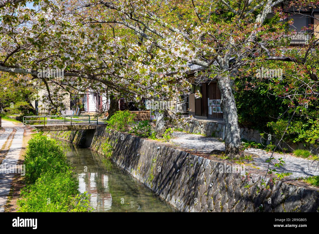 Kyoto Philosophers Walk, scenic walk along narrow paths past cherry ...