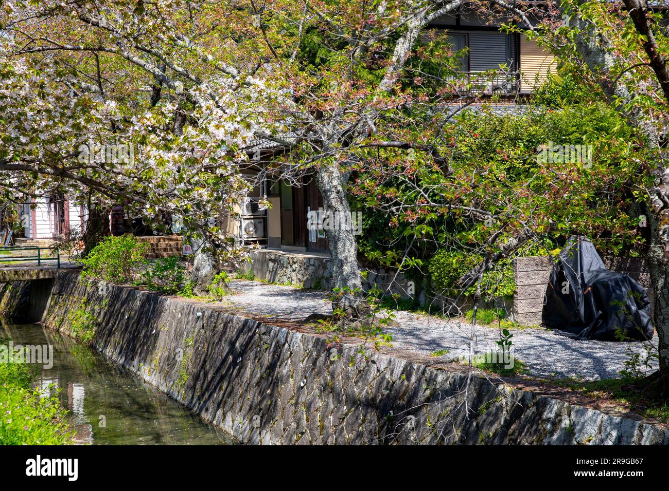 Kyoto Philosophers Walk, scenic walk along narrow paths past cherry ...