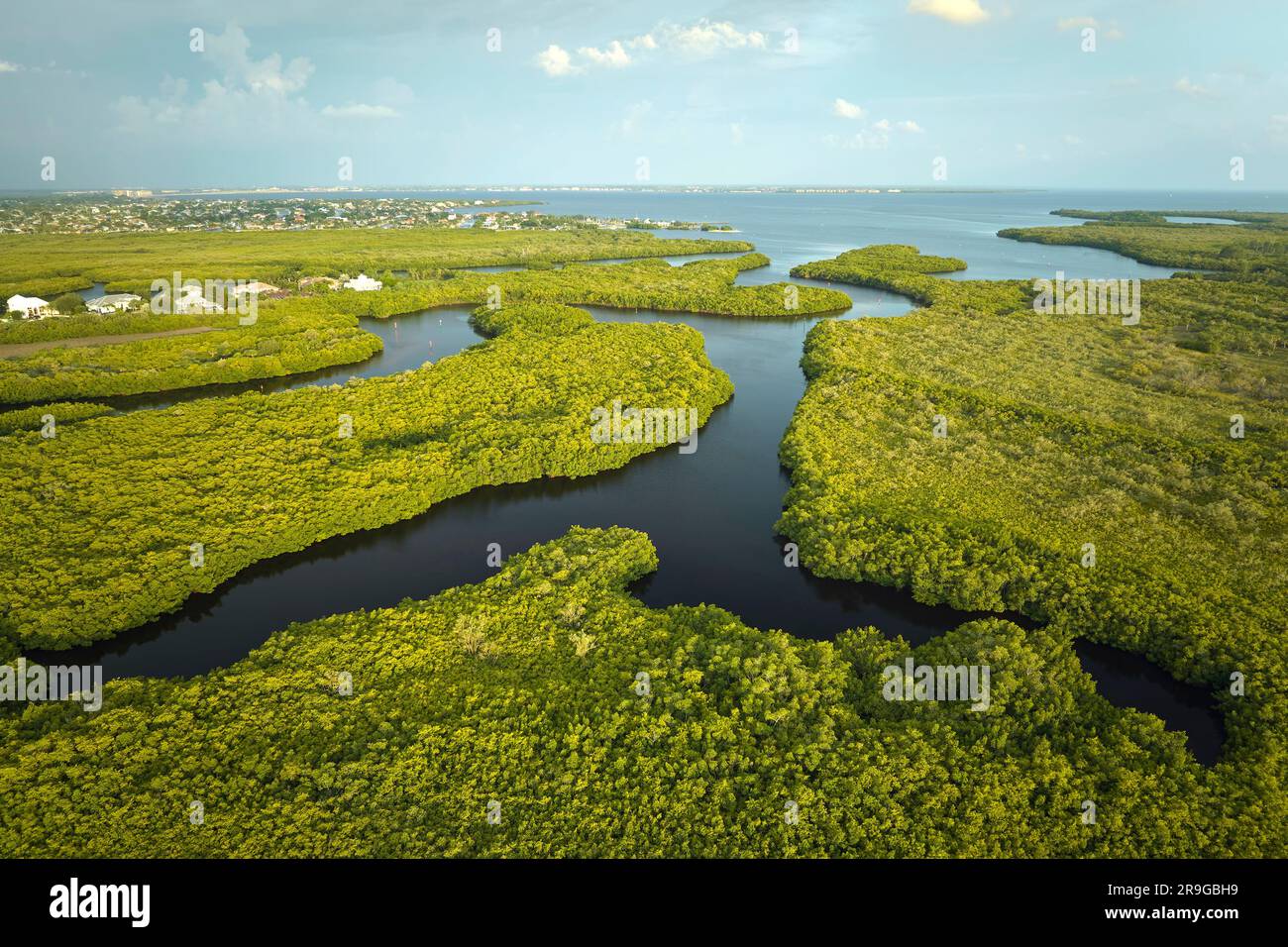Aerial view of Florida wetlands with green vegetation between ocean ...