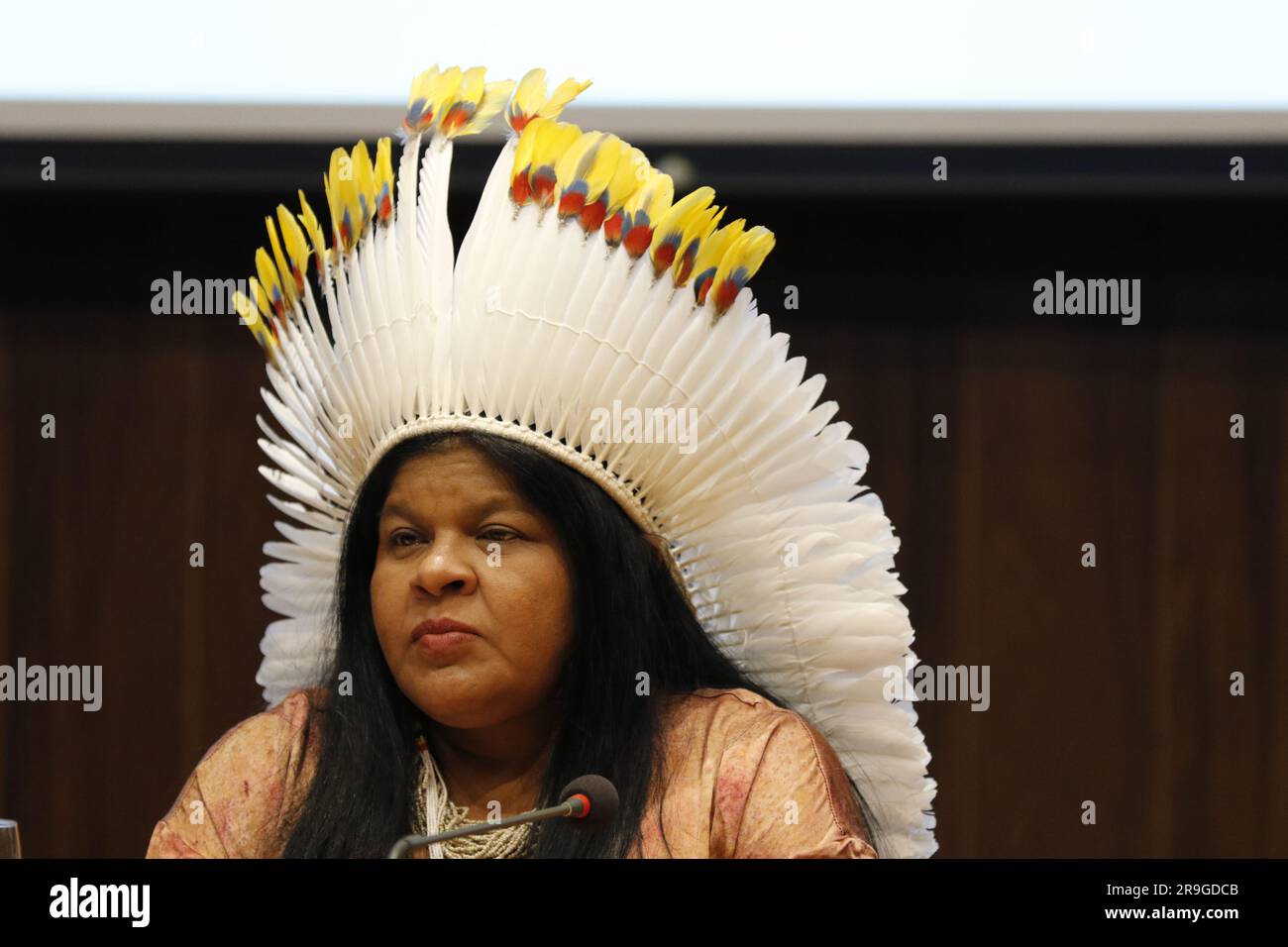 Portrait of Sônia Guajajara, brazilian Minister of Indigenous Peoples ...