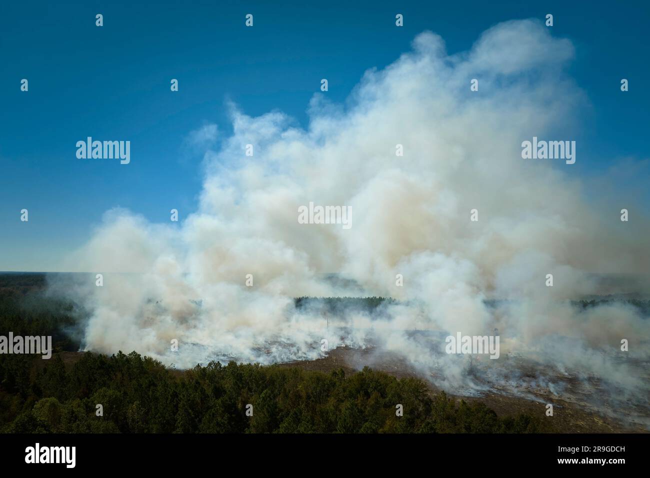 Aerial view of white smoke from forest fire rising up polluting ...