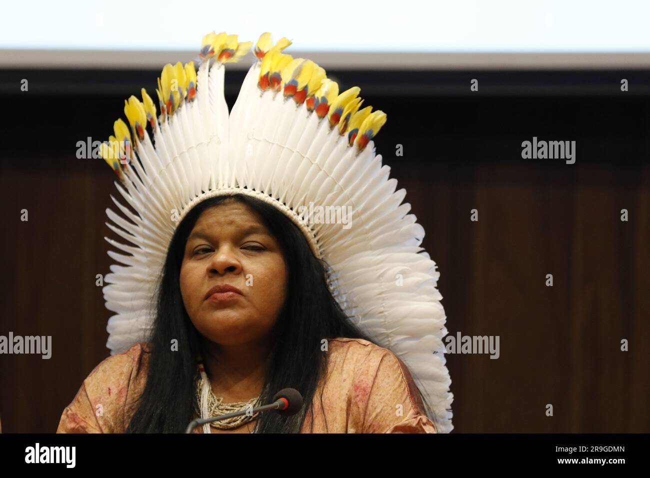 Portrait of Sônia Guajajara, brazilian Minister of Indigenous Peoples ...
