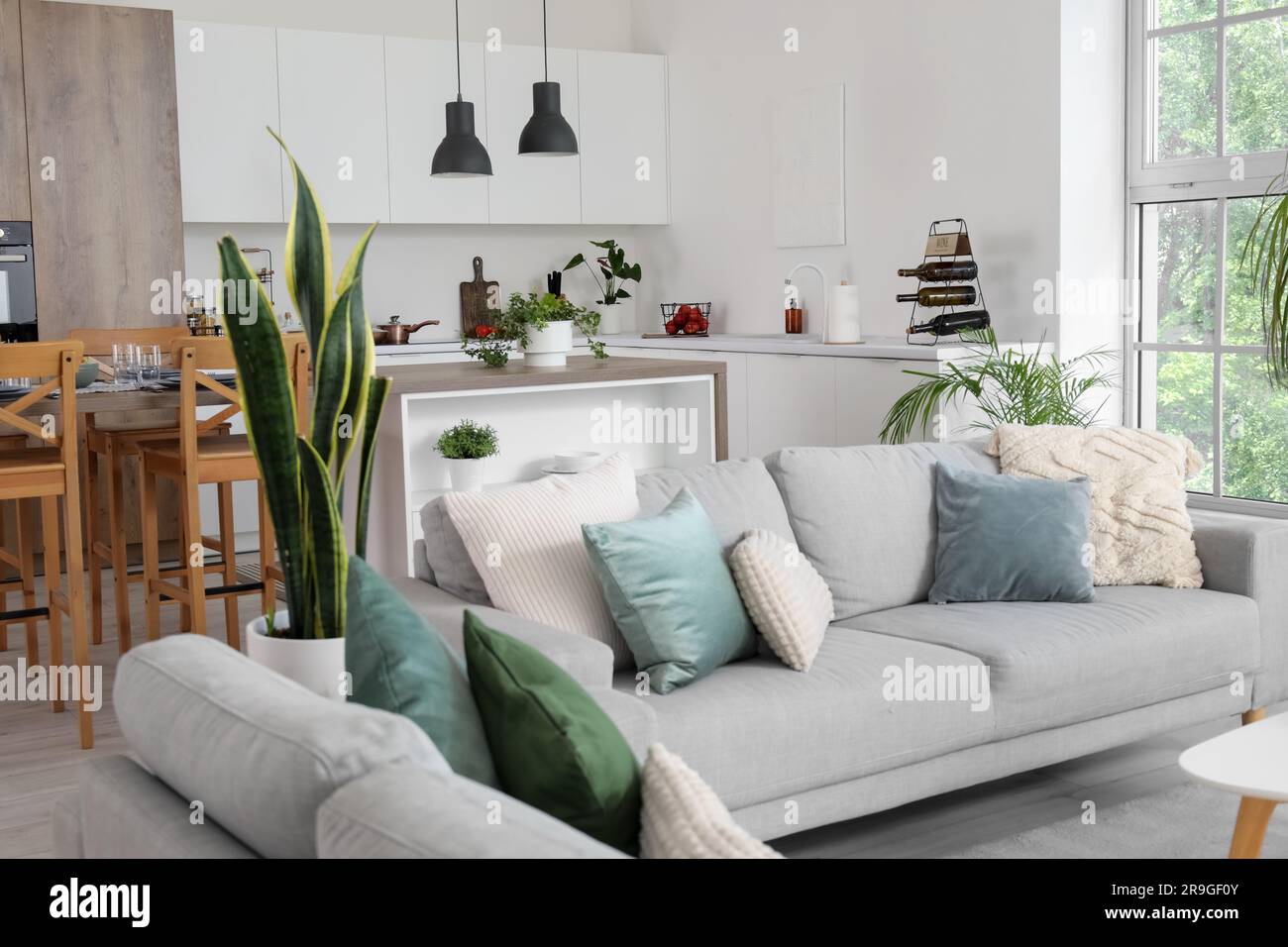 Interior of light open space kitchen with cozy grey sofas and island ...