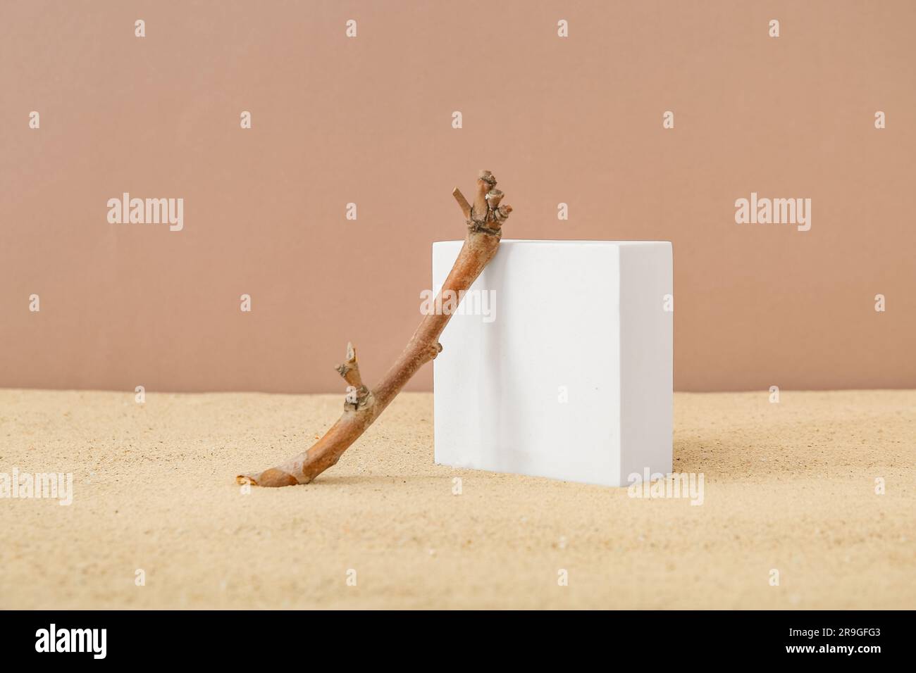 Decorative plaster podium with tree branch on sand against brown ...