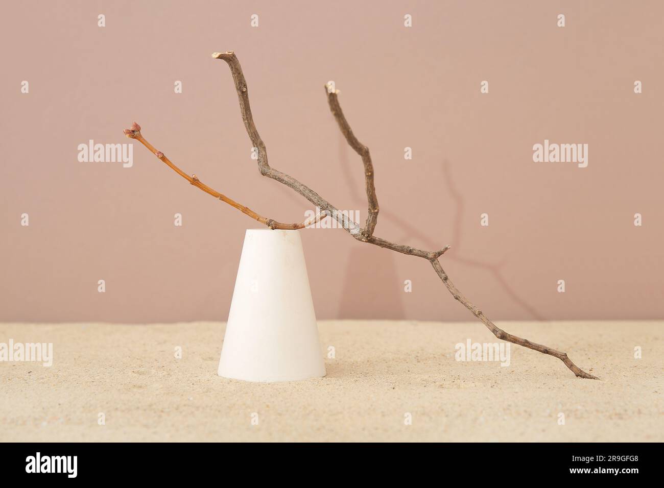 Decorative plaster podium with tree branch on sand against brown ...