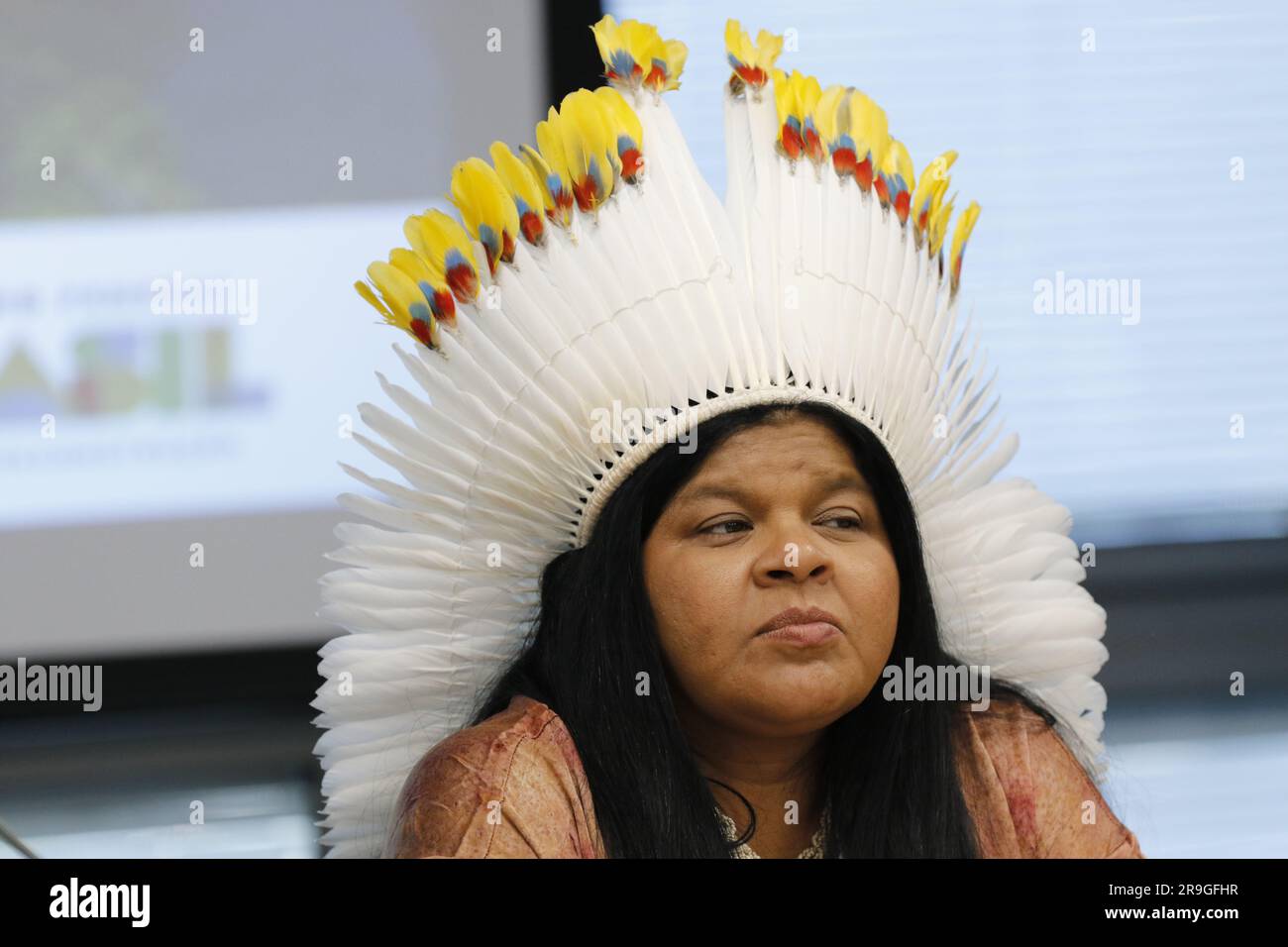 Portrait of Sônia Guajajara, brazilian Minister of Indigenous Peoples ...