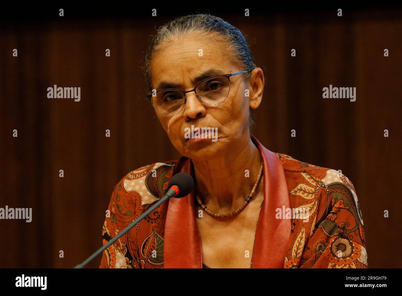 Portrait of Marina Silva the brazilian Minister of the Environment and ...