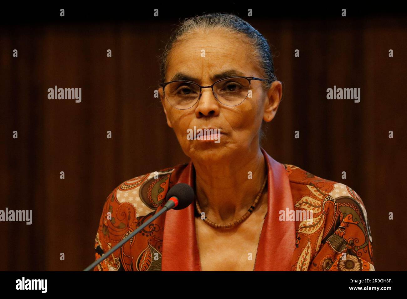 Portrait of Marina Silva the brazilian Minister of the Environment and ...